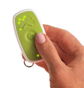 Axonics Urinary Incontinence Therapy in Plano, TX | Dr. Scott Hassell